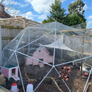The Five Minute Gardener's chicken run – Build with Hubs